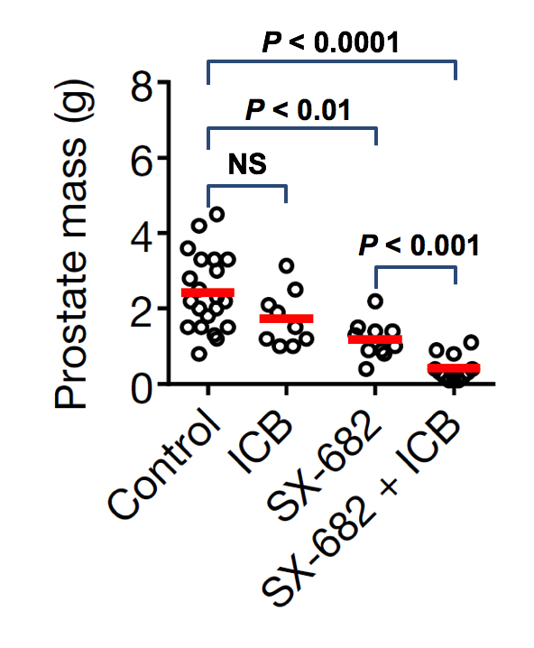 Therapy Pipeline – Syntrix Pharmaceuticals