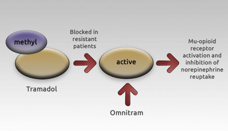 Pain – Syntrix Pharmaceuticals